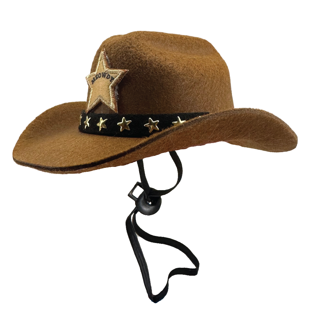 Meowdy Cowboy Cat Hat – The Cowboy Cat Saloon